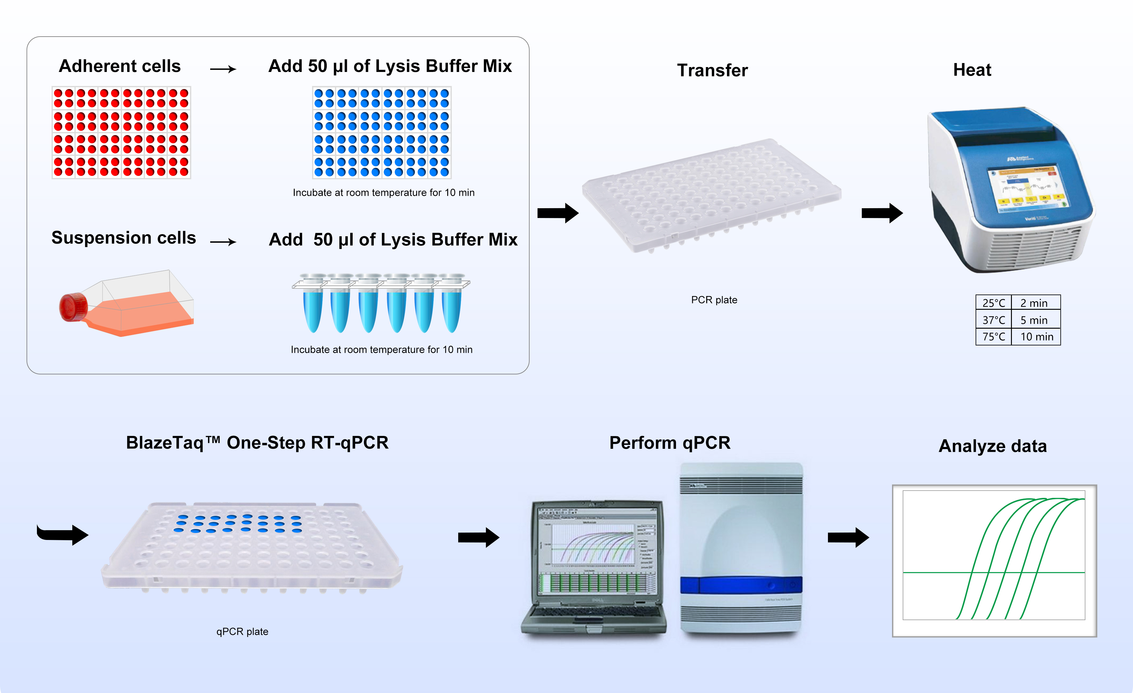 RT-qPCR System, analyze gene expression | GeneCopoeia™