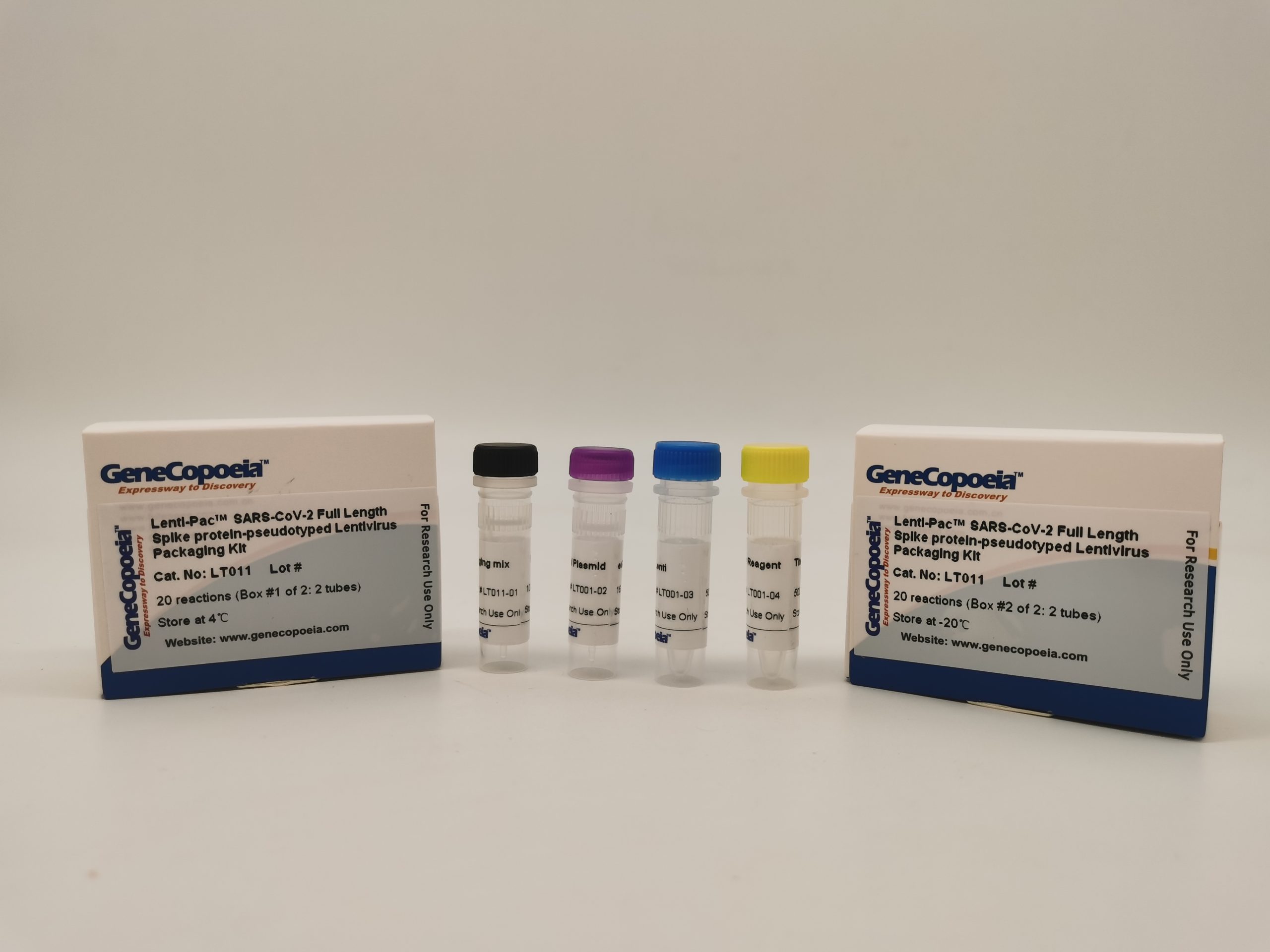 LT011新 | GeneCopoeia™